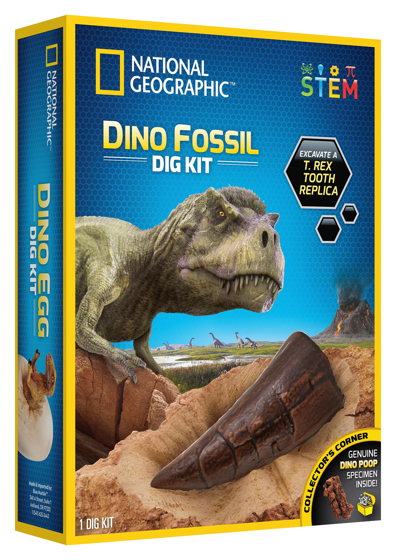 National Geographic Dino Fossil Dig STEM Science Kit | Cabela's